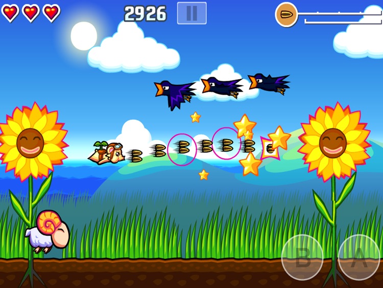 Flying hamster hd store